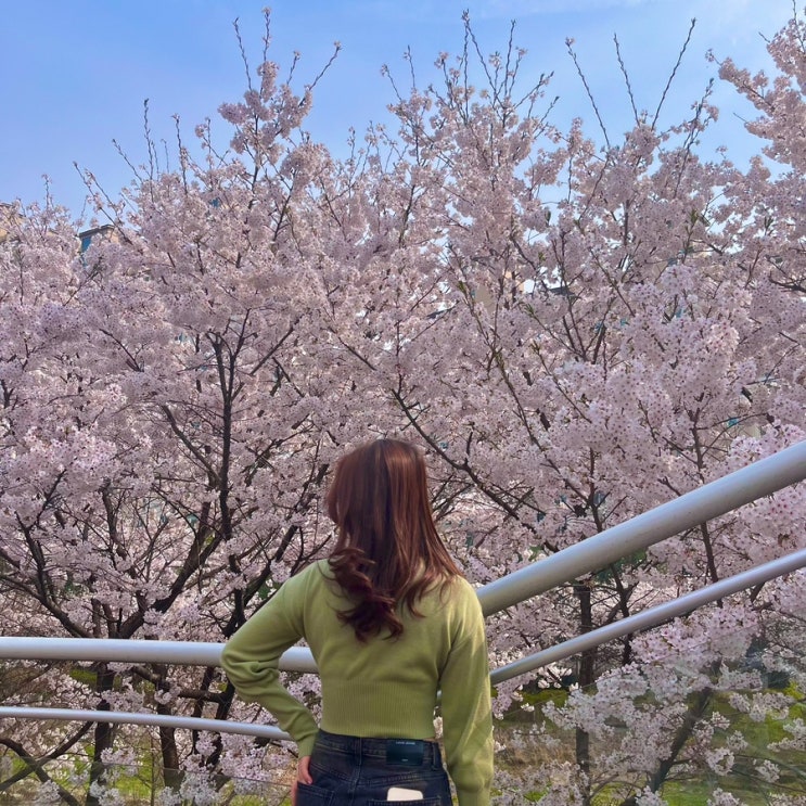 위례 광장 펌 잘하는 미봉헤어 위례점아영 실장님 후기 네이버 블로그