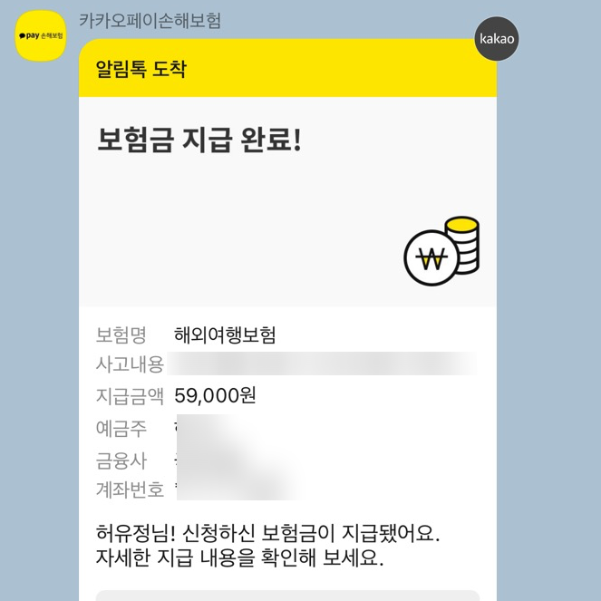 카카오 해외여행보험 베트남 에어서울 항공기 지연 손해 보상 보험금 신청 수령 후기 네이버 블로그