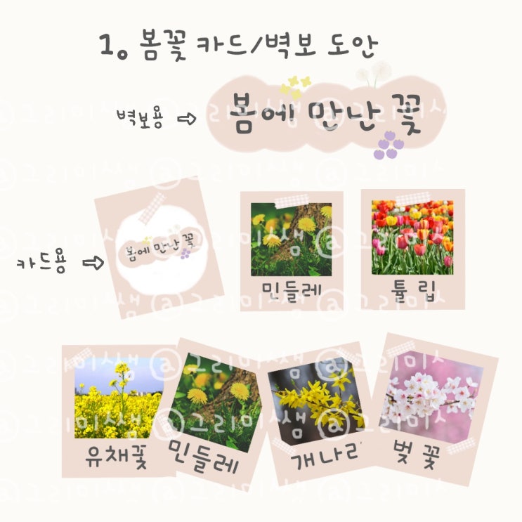 봄관찰카드 및 벽보 색칠도안봄꽃카드봄꽃벽보봄곤충카드봄곤충벽보봄꽃색칠도안봄곤충색칠도안과학영역언어영역봄활동지봄이