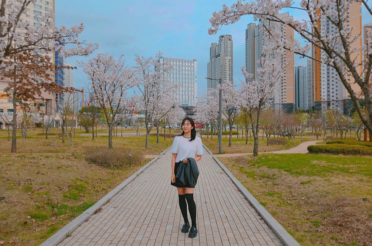 동탄 벚꽃 명소 여울공원 피크닉 아이와 함께 가볼만한곳 네이버 블로그