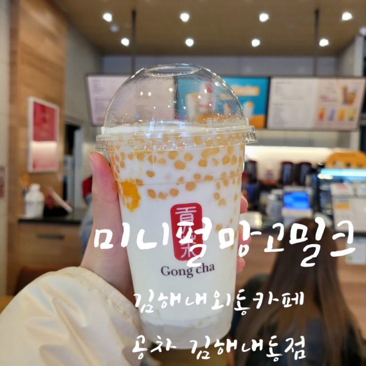 김해 내외동 카페 공차 김해내동점 신메뉴 미니펄 망고 밀크 망고사고 솔직후기 네이버 블로그