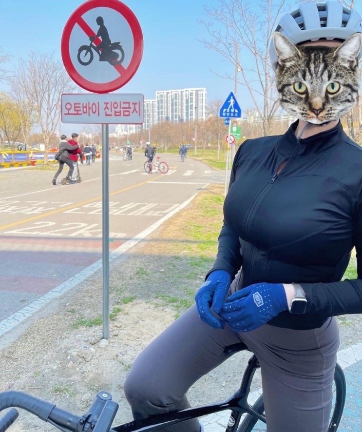 자린이의 남산 도전기 여성 로드자전거 입문 후기한강라이딩자이언트tcr 네이버 블로그