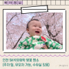인천 Sk석유화학 벚꽃 명소 주차 팁 유모차 가능 수유실 있음 네이버 블로그