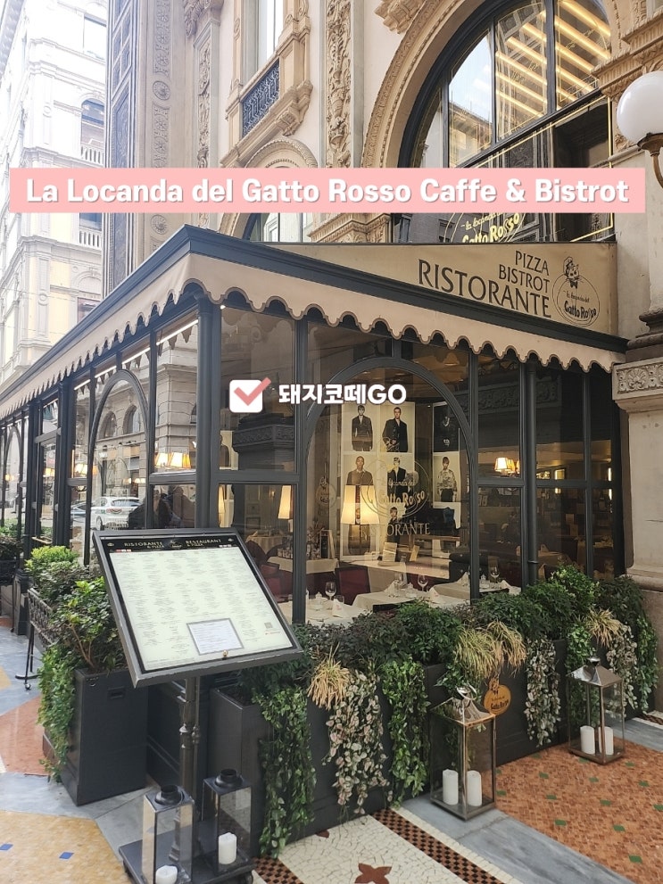 돼지코떼GO_La Locanda del Gatto Rosso Caffe & Bistrot_밀라노대성당레스토랑 : 네이버 블로그