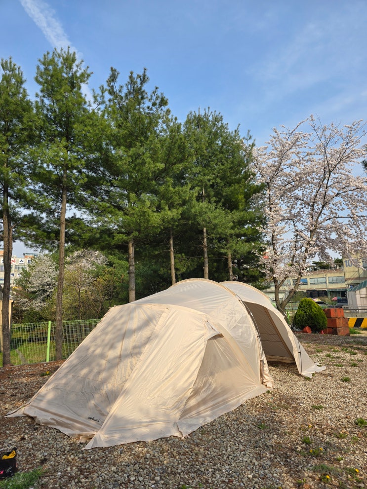 2024년 캠프밸리 로투스돔 300 플라이 롱바디 _ 강추 ~ : 네이버 블로그