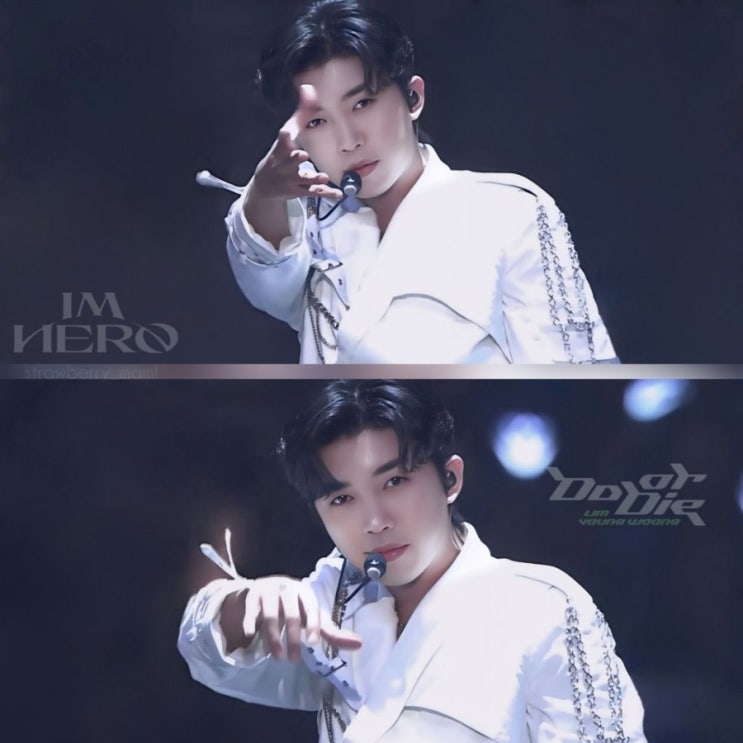 임영웅 [Do or Die] Live Clip. 2023 IMHERO CONCERT 감동의 멋진무대 : 네이버 블로그