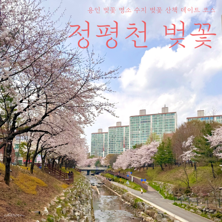 용인 벚꽃 명소 수지 신봉동 정평천 산책길 실시간 개화현황 네이버 블로그