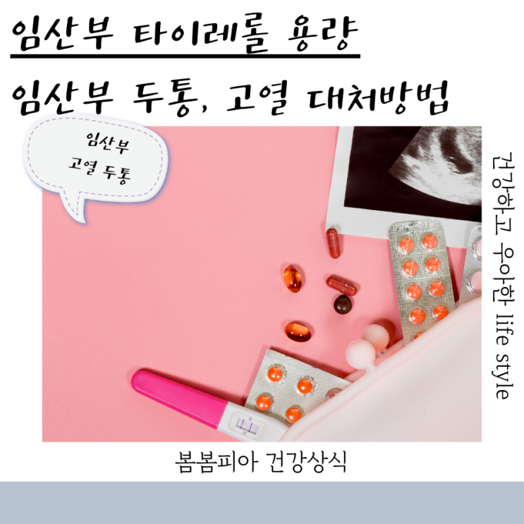 임산부 타이레놀 용량 임산부 두통 열 감기 약 복용법 네이버 블로그