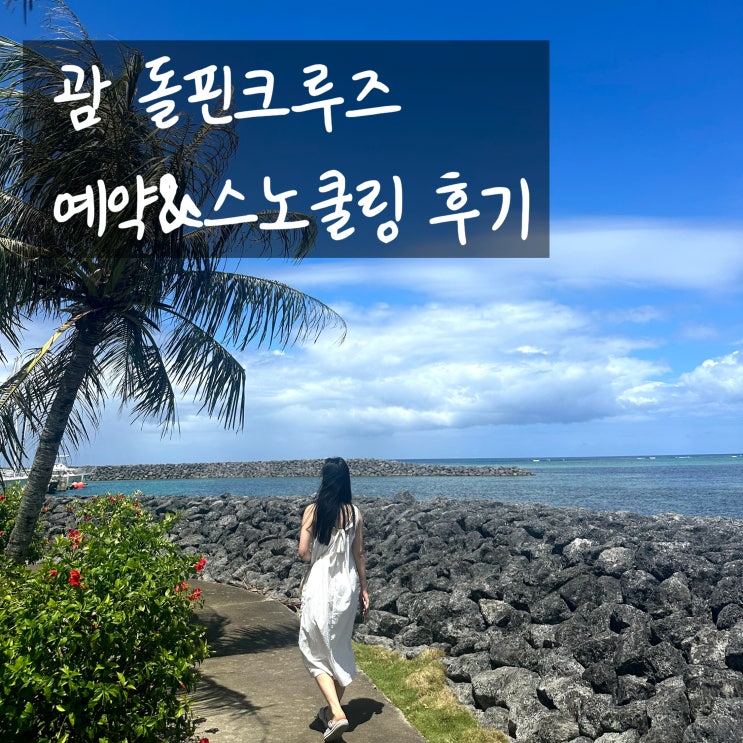 괌 돌핀크루즈 투어 가격 괌플레이 예약 스노쿨링 후기 네이버 블로그