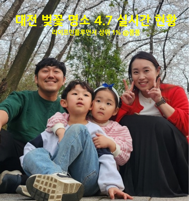 대전 벚꽃 명소 아이와 가볼만한곳 추천 대청호 오월드 테미공원 실시간 벚꽃 현황 네이버 블로그