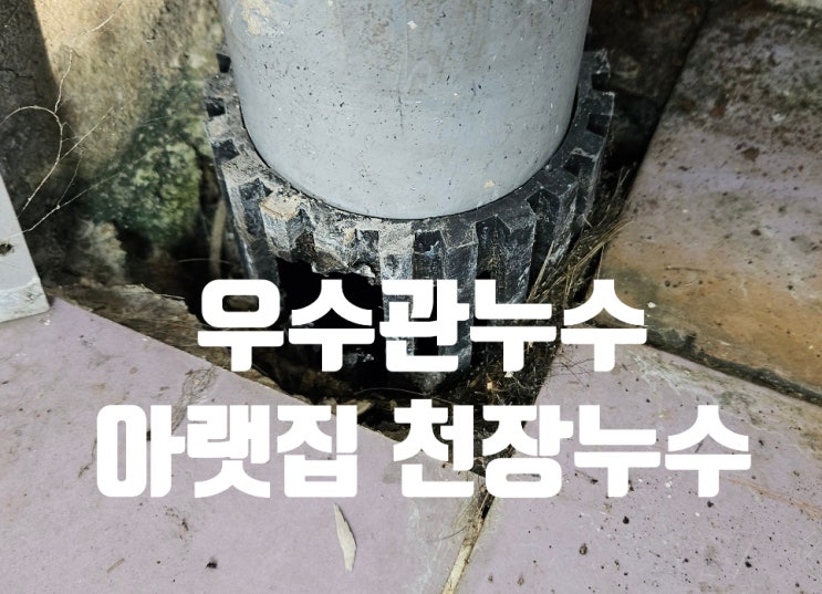 남양주 와부읍 덕소리 누수탐지 우수관누수 해결 덕소누수설비 미사 구리 다산동 별내 화도읍 호평 평내 네이버 블로그
