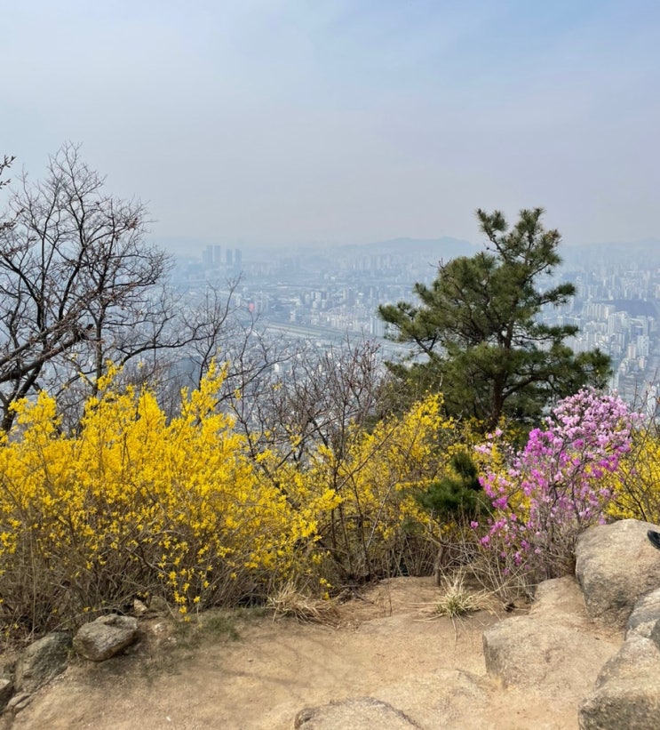 초보자 아차산용마산 등산 코스 추천 Ft신토불이 떡볶이 어린이대공원 벚꽃 구경🌸 네이버 블로그