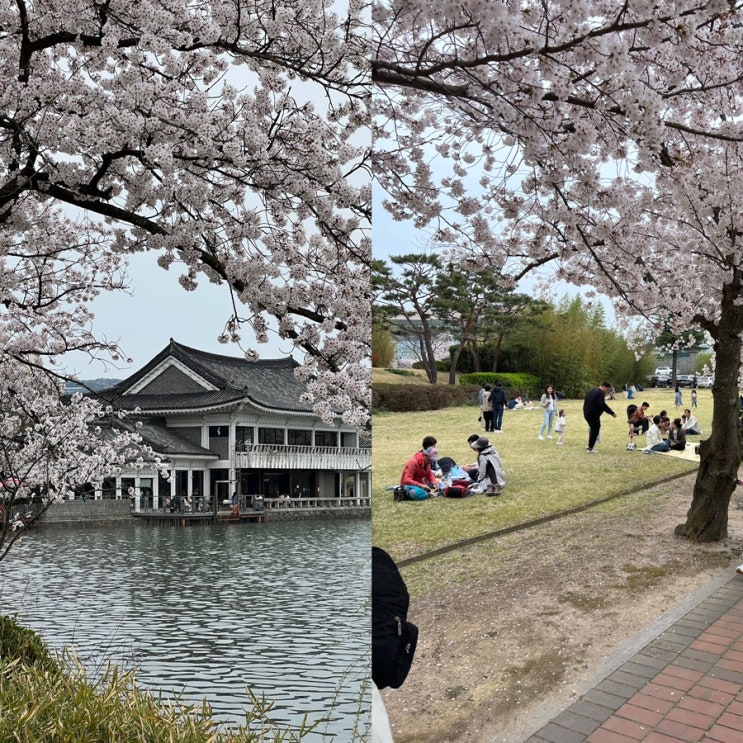 경주 아이와 가볼만한곳 보문관광단지 보문단지 피크닉 보문호수 벚꽃길 만개 네이버 블로그