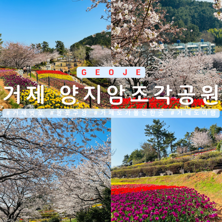 거제 벚꽃 명소 양지암조각공원 튤립 개화상황 거제도 봄꽃구경 가볼만한곳 네이버 블로그