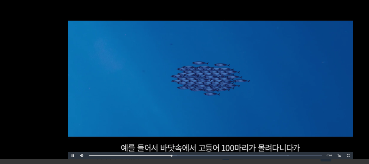 수학의 개념을 확실하게 잡아주는 홍생수 영재수학 수와 연산 네이버 블로그