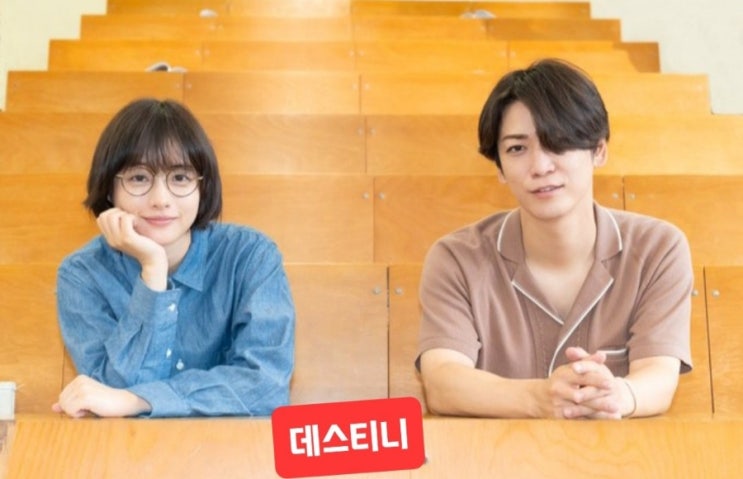 데스티니 넷플릭스 일본 드라마 로맨스 스릴러 추천 이시하라 사토미 × 카메나시 카즈야 네이버 블로그