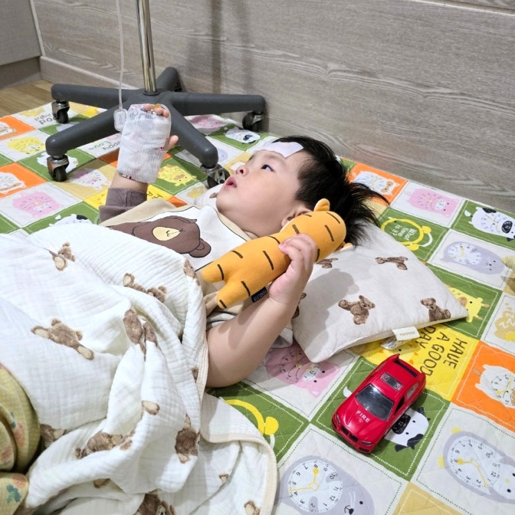 입원준비물 아기 고열 3일차 첫 입원기록아데노바이러스명지아동병원1인실 네이버 블로그