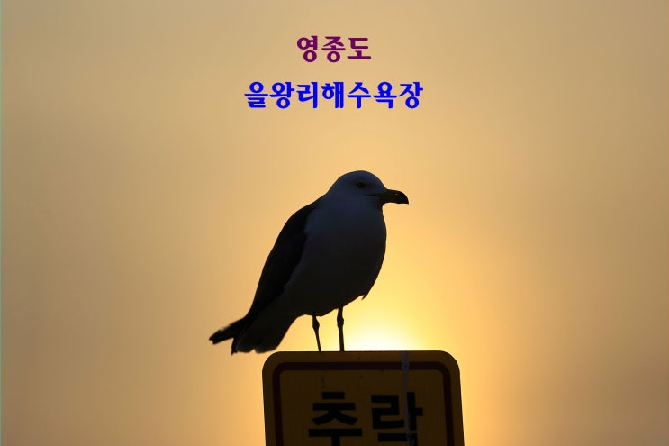 서울근교 바다 여행 인천 영종도 을왕리해수욕장 네이버 블로그