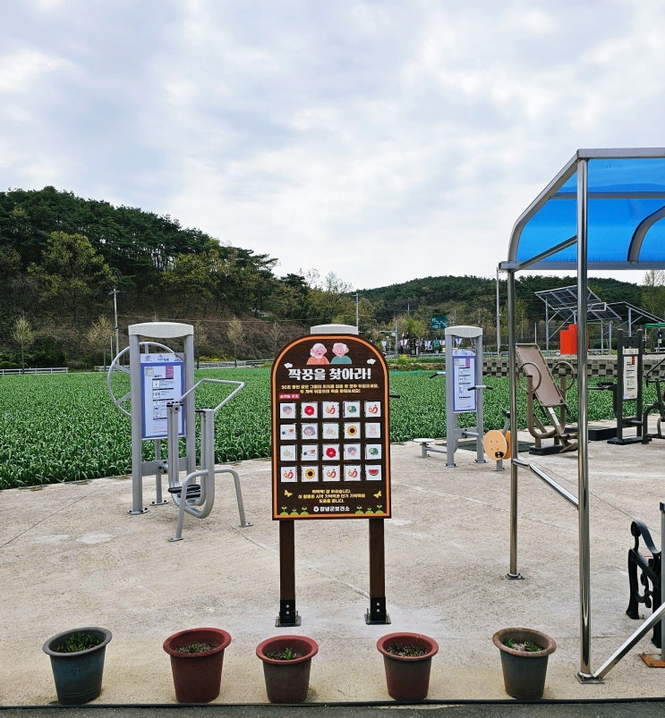 창녕군 치매안심센터 나무안내판 나무안내판 직접생산업체치매안심마을 나무안내판 치매예방 나무안내판 치매예방 짝꿍맞추기 나무