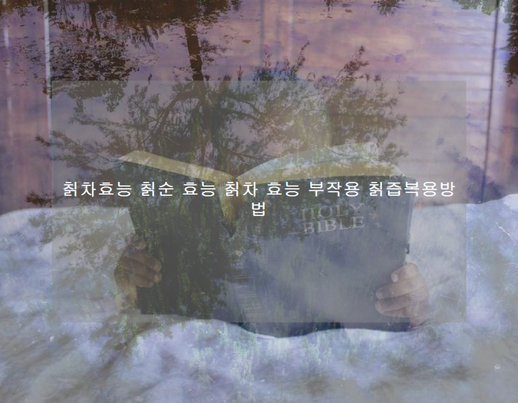 칡차효능 칡순 효능 칡차 효능 부작용 칡즙복용방법 네이버 블로그