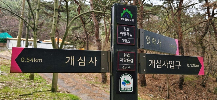 충남 서산 개심사 청벚꽃 왕벚꽃 겹벚꽃 개화시기 네이버 블로그