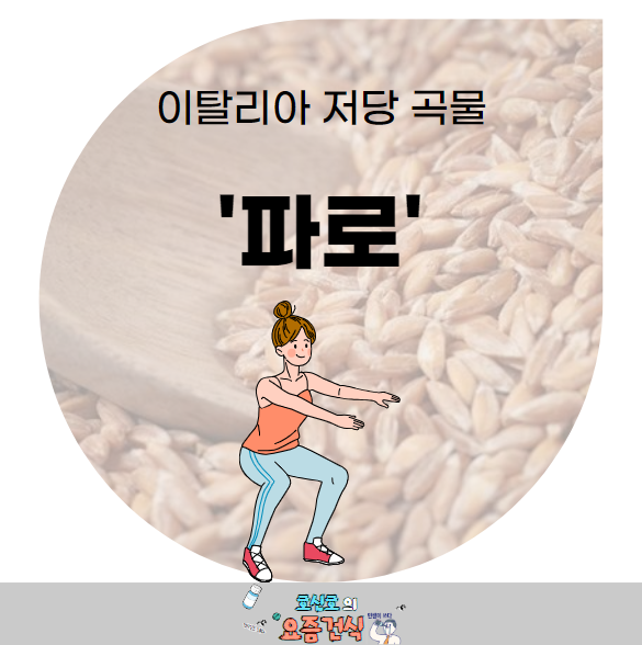 이탈리아 저당 곡물 파로 효능 부작용 네이버 블로그