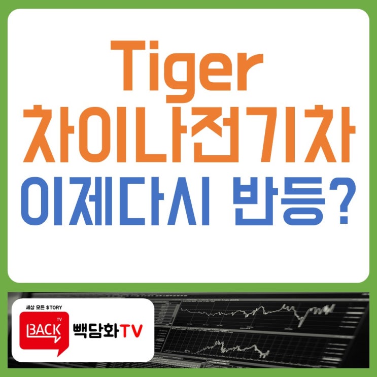 1년째 우울한 Tiger 차이나전기차 Solactive ETF, 이제 희망이 좀 보이나? (ft. 아직 손절 안함) : 네이버 블로그