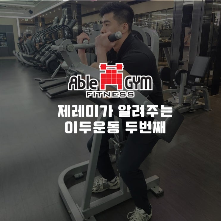암사동헬스천호피티암사헬스암사역피티강동피티강동구헬스제레미가 알려주는 이두 두번째 네이버 블로그