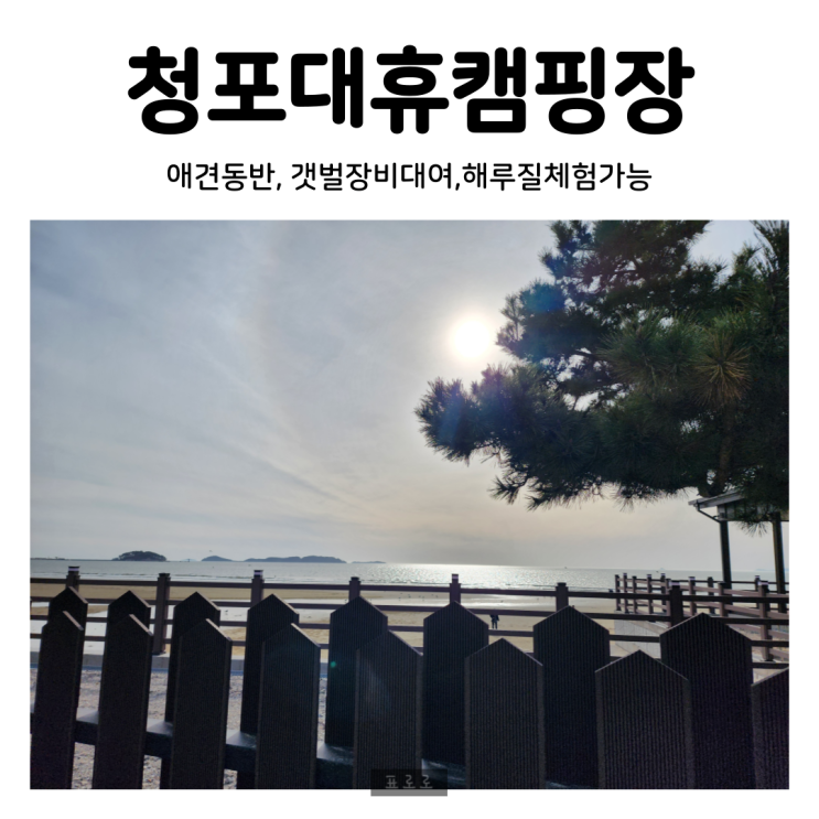 청포대 태안선착순캠핑장 태안 야간 해루질 체험 청포대휴 캠핑장 갯벌장비대여 애견동반가능 네이버 블로그