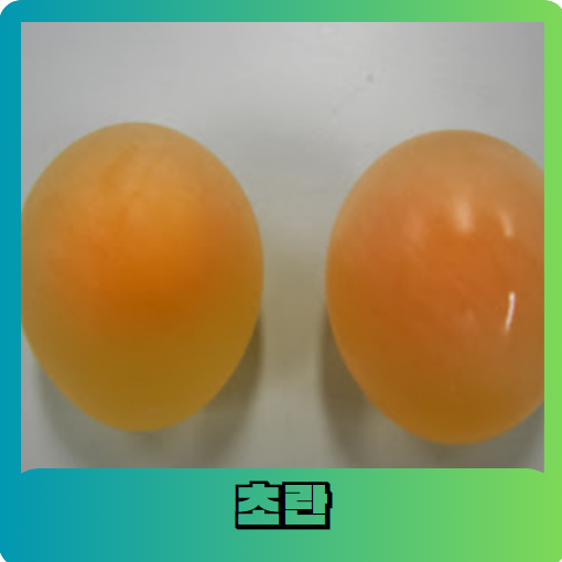초란의 효능과 부작용 뜻 초란 달걀 만드는 법을 알아보자 네이버 블로그