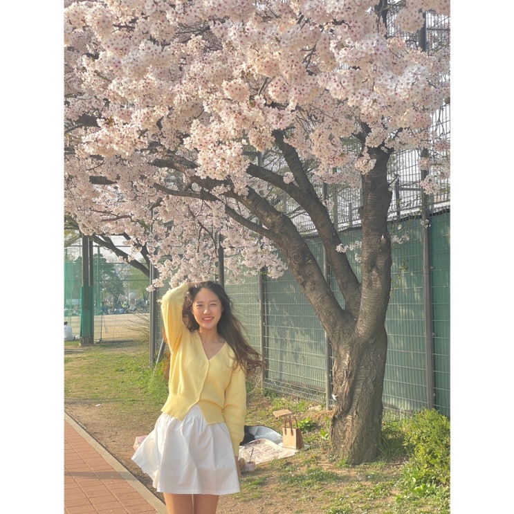망원 한강공원 벚꽃 피크닉 명당 자리 감성 돗자리 대여 네이버 블로그