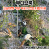 부산infj의 카페여행 부산 사상 우디브룩 도심 속 힐링 고양이와 작은 폭포가 있는 대형 카페 네이버 블로그
