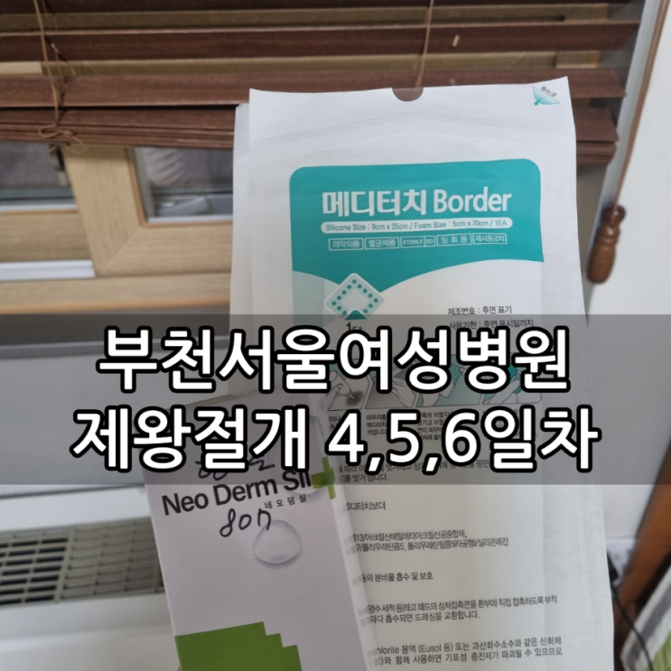 출산일기 부천서울여성병원 제왕절개 456일차 1인실통증외출유축훗배앓이걷기운동드레싱 네이버 블로그