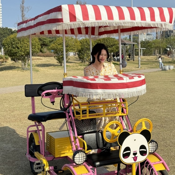 강릉놀거리 경포대 바이크스토리 패밀리 자전거 대여 경포호 데이트로 딱좋아 네이버 블로그