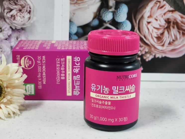 밀크씨슬 효능 간영양제 고를때 주의사항 4가지 Tip Ft 밀크시슬 네이버 블로그
