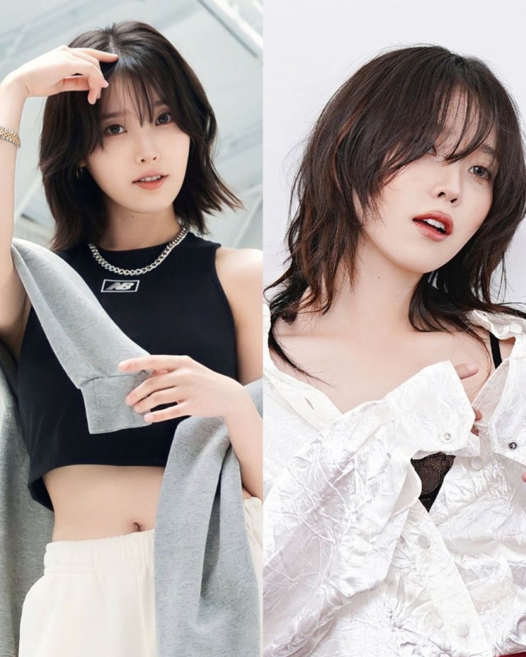 아이유 단발 허쉬컷으로 만나보는 단발 레이어드컷 레이어드단발 : 네이버 블로그