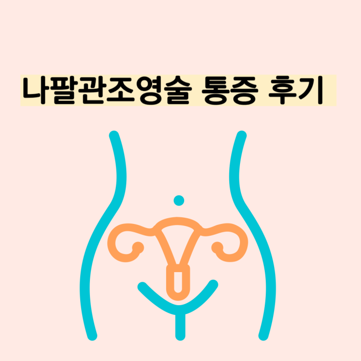 난임검사 나팔관조영술 통증 나팔관막힘 나팔관절제술 이란 네이버 블로그