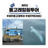 제주돌고래투어 제주돌고래힐링투어 네이버 블로그