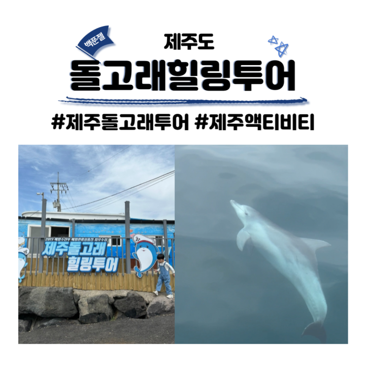 제주돌고래투어 제주돌고래힐링투어 네이버 블로그