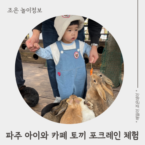 파주 아이와 가볼만한곳 헤이리 카페 석죽재물고기나무 토끼 포크레인 네이버 블로그