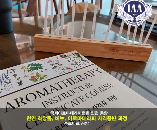 5월 창업반 천연 화장품 비누 아로마테라피 자격증 과정 아로마 공방 창업 썬크림 비염연고 인천 부천 송도 시흥 푸르