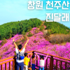 창원 천주산 진달래 등산 최단 코스 주차장 네이버 블로그
