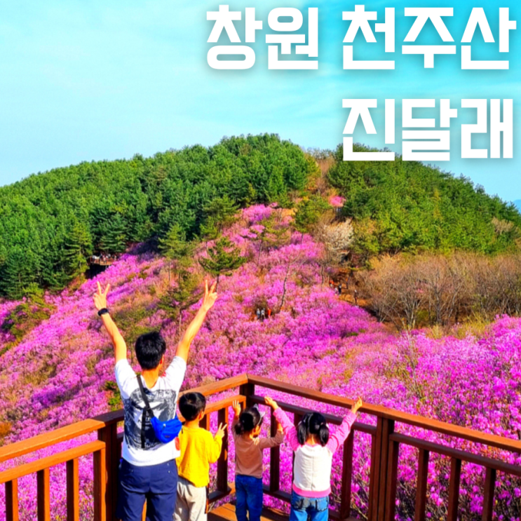창원 천주산 진달래 등산 최단 코스 주차장 네이버 블로그