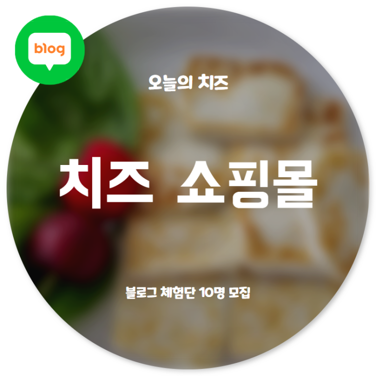 오늘의 배송 최고급 원유 최고 신선한 원유를 공급받아 짜지않고 부드러운 오늘의 치즈 쇼핑몰 리뷰어 모집 네이버 블로그