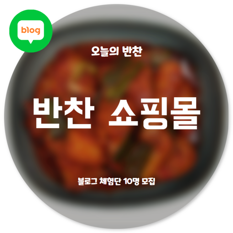 오늘의 배송 직접 수제로 만들어 영양가 있고 더욱 맛있는 오늘의 반찬 쇼핑몰 리뷰어 모집 네이버 블로그