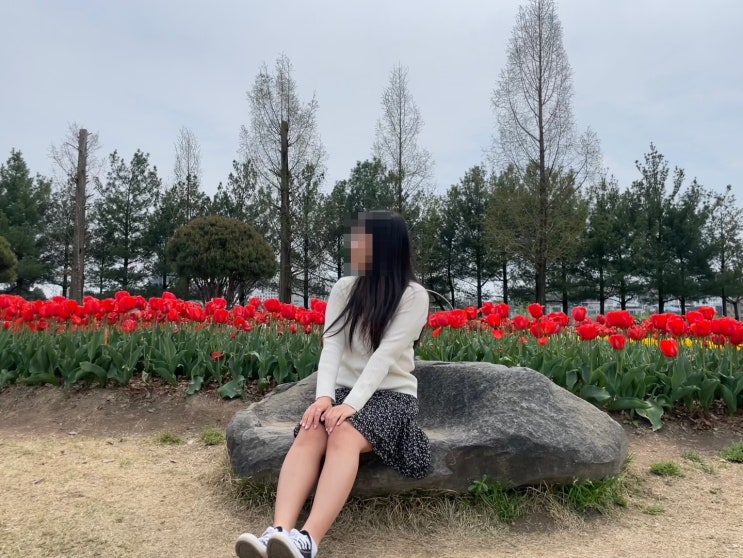 대전 유성 유림공원 봄 튤립 꽃구경 하러 가기 좋은 곳 대전 가볼만한 곳 산책 피크닉 장소 추천 네이버 블로그