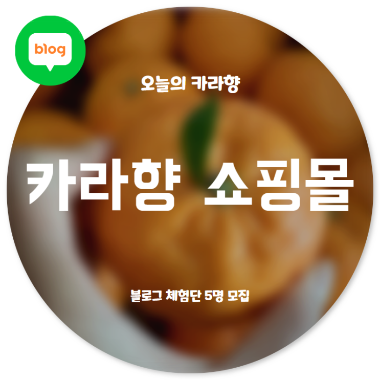 오늘의 배송 제주 자연을 담아 신선함이 그대로 전해지는 오늘의 카라향 쇼핑몰 리뷰어 모집 네이버 블로그