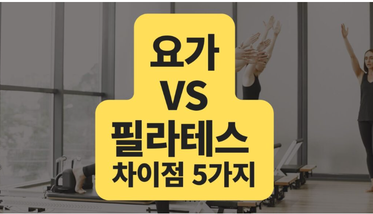 분당 Kt 스포츠센터 요가 Vs 필라테스 차이점 5가지 네이버 블로그