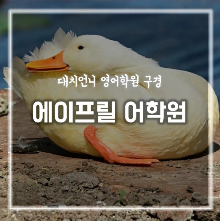 영어학원 패드로 영어 재밌게 해볼까 에이프릴 어학원 네이버 블로그