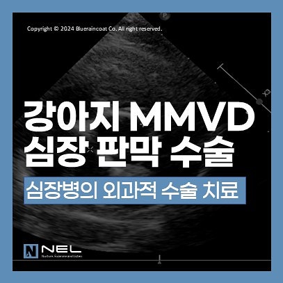 [넬동물의료센터 CASE] 강아지 심장병 MMVD 수술 : 이첨판막 수술과 관리_넬동물의료센터 심장 수술팀 : 네이버 블로그